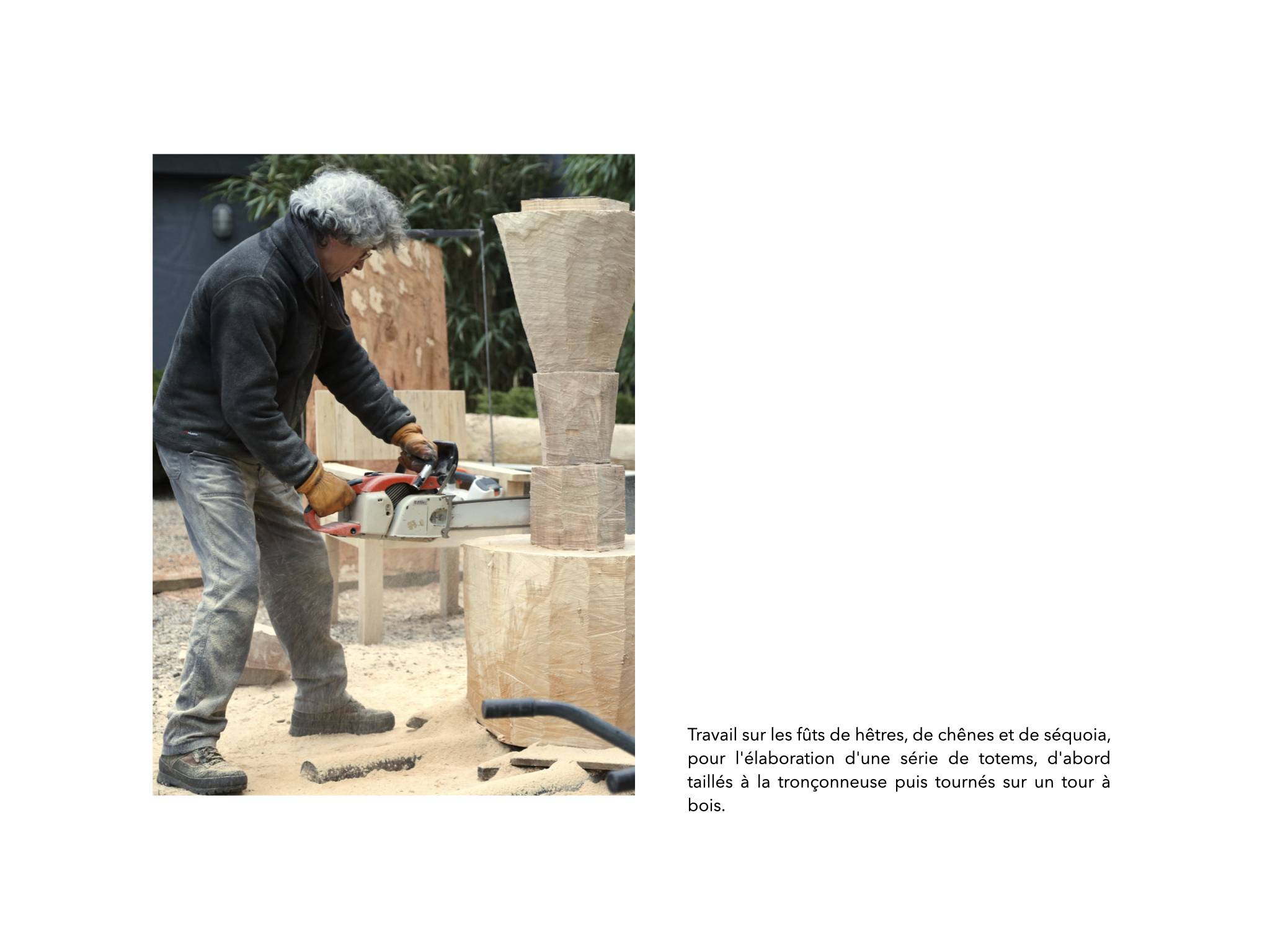Totems – Jean-Louis Raymond